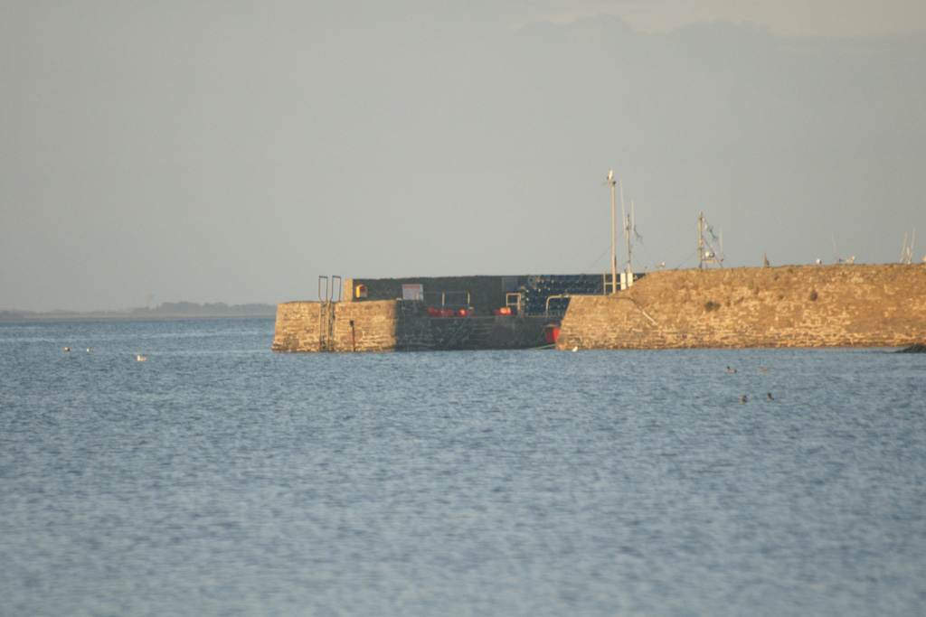 A brief history | Fethard on Sea Community Development Association